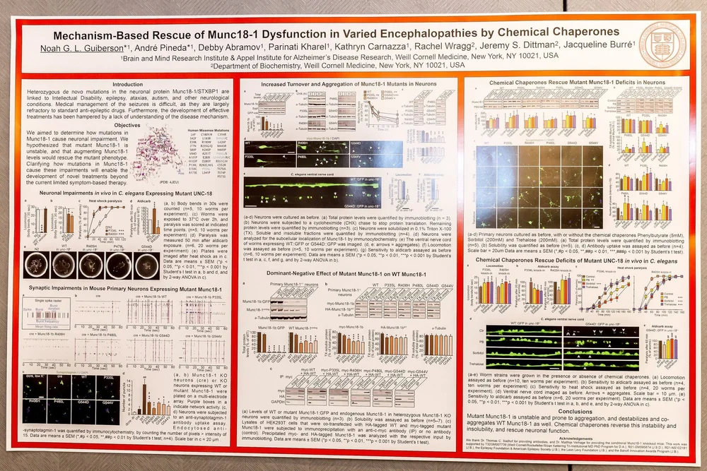 SIFM 2019 Posters — STXBP1 Foundation