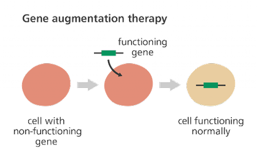 Therapy Approaches for STXBP1 Disorder — STXBP1 Foundation