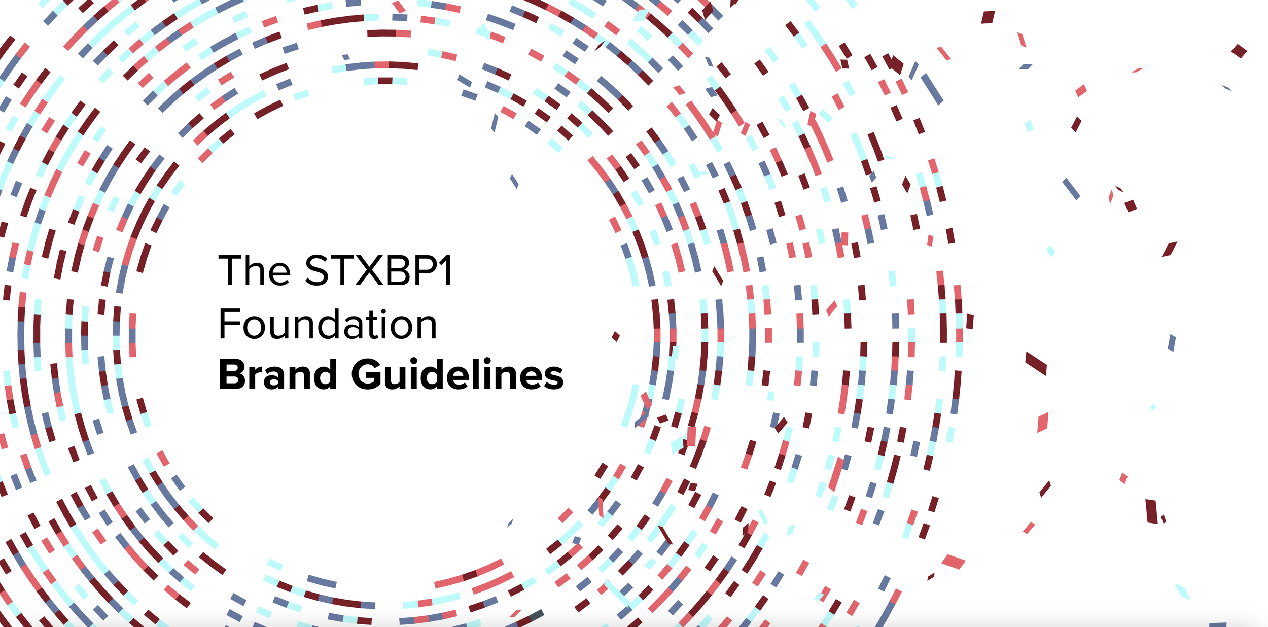 Collateral & Brand — STXBP1 Foundation