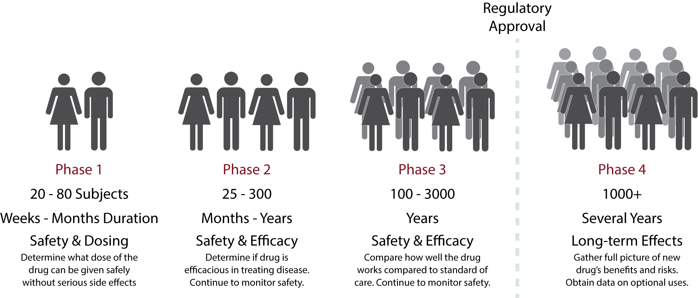 An Overview of Clinical Trials — STXBP1 Foundation
