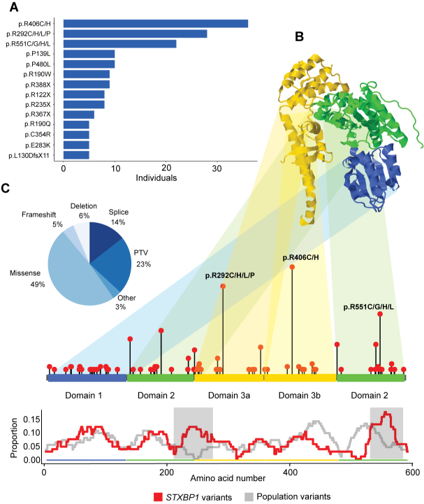 Overview of STXBP1 Disorders — STXBP1 Foundation