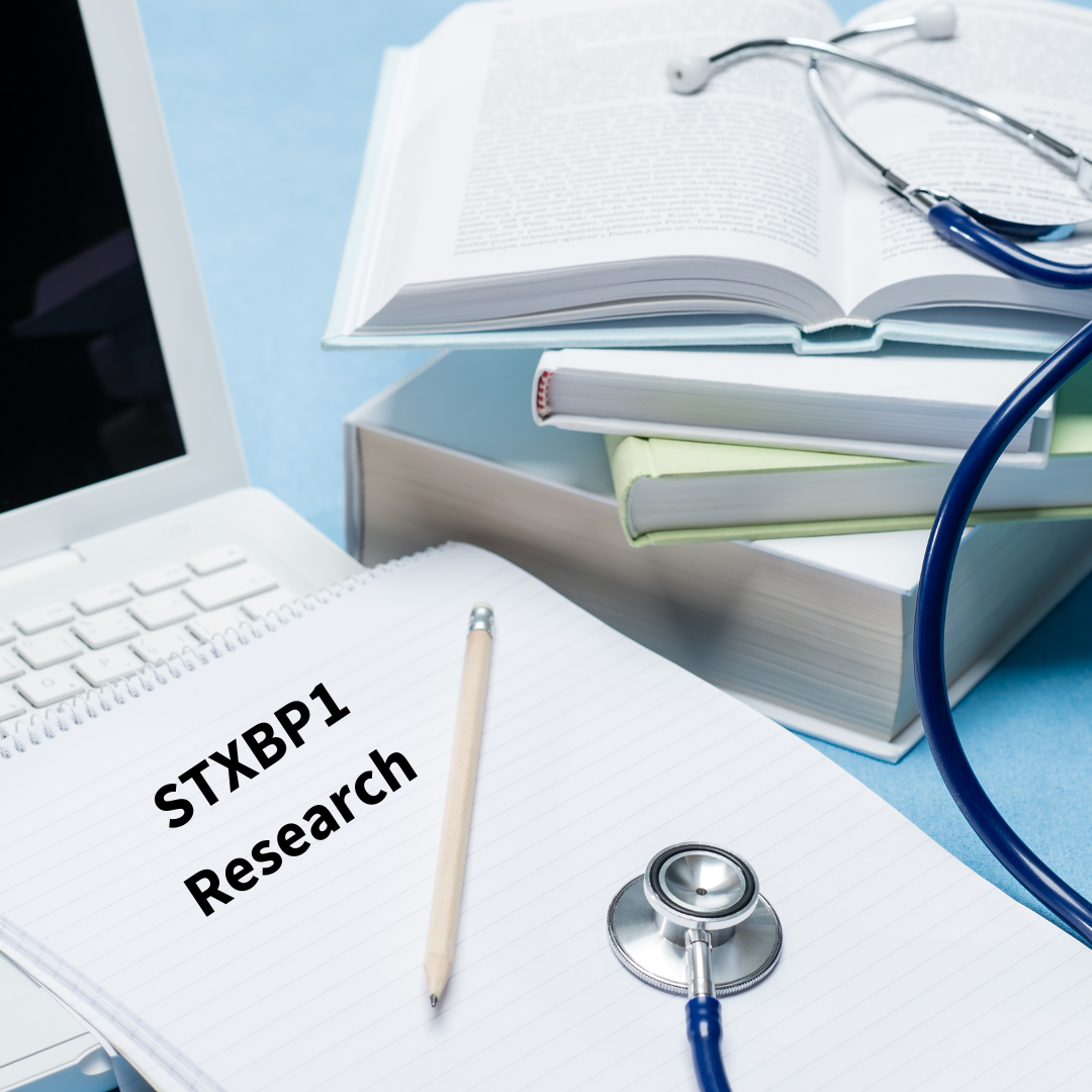 Strides in STXBP1: What Happened Last Month in STXBP1 Research ...