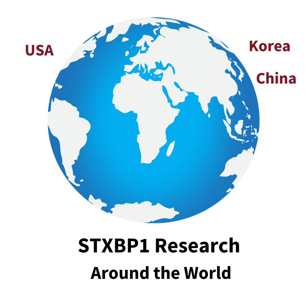 Strides in STXBP1: What Happened Last Month in STXBP1 Research ...