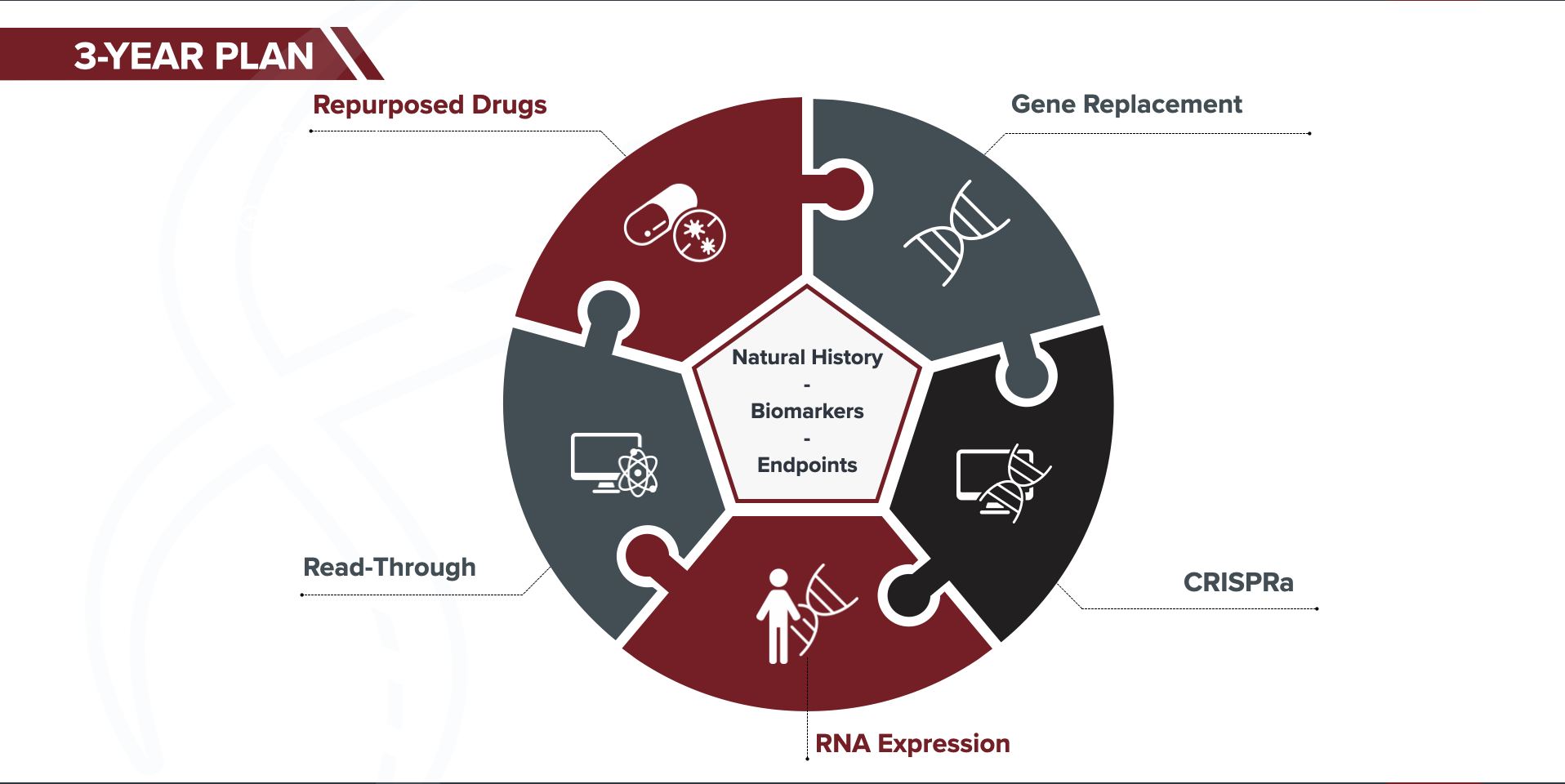 About — STXBP1 Foundation
