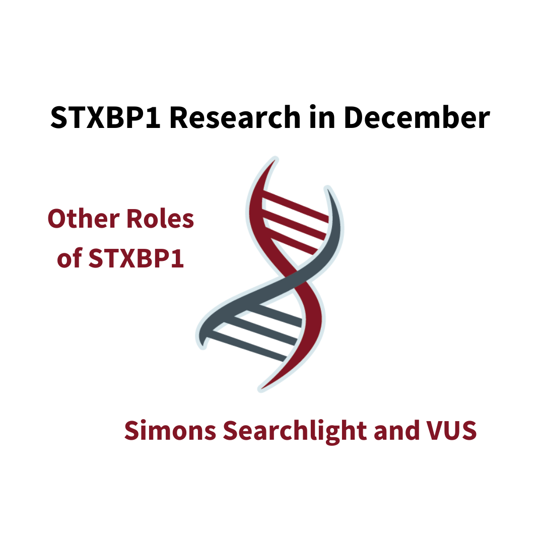 Strides in STXBP1 Research December 2024 — STXBP1 Foundation