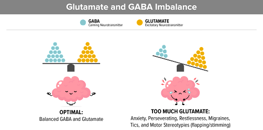 The Distinct Roles of Glutamatergic and GABAergic Neurons in STXBP1 ...