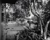 Mid-Century Modern (Keller II House) by Lloyd Ruocco in Mission Hills ...