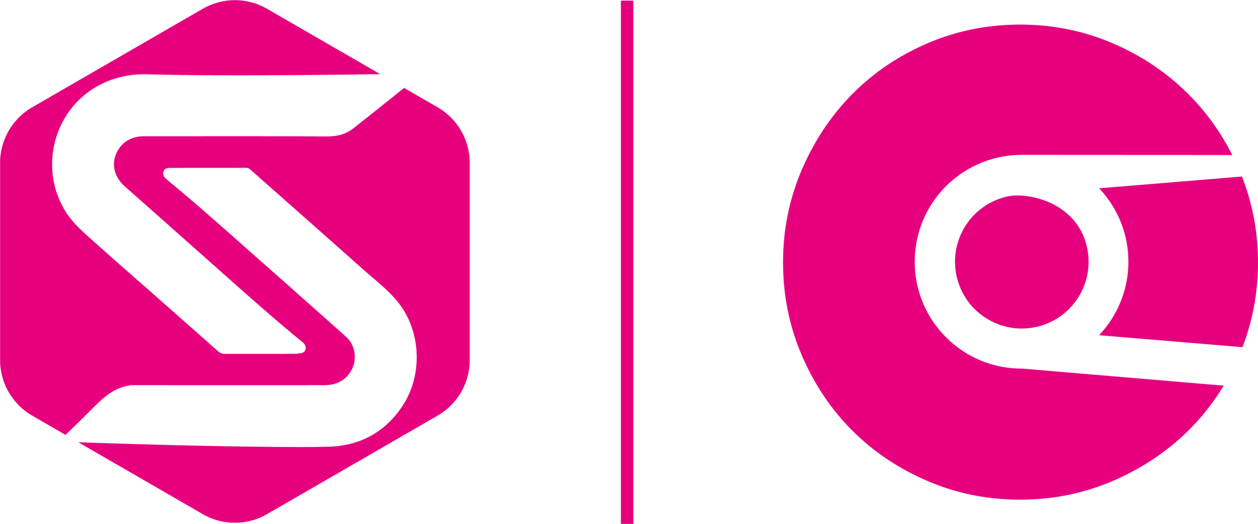 Saris Logo
