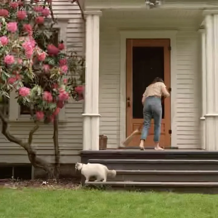 Flora Recording & Playback