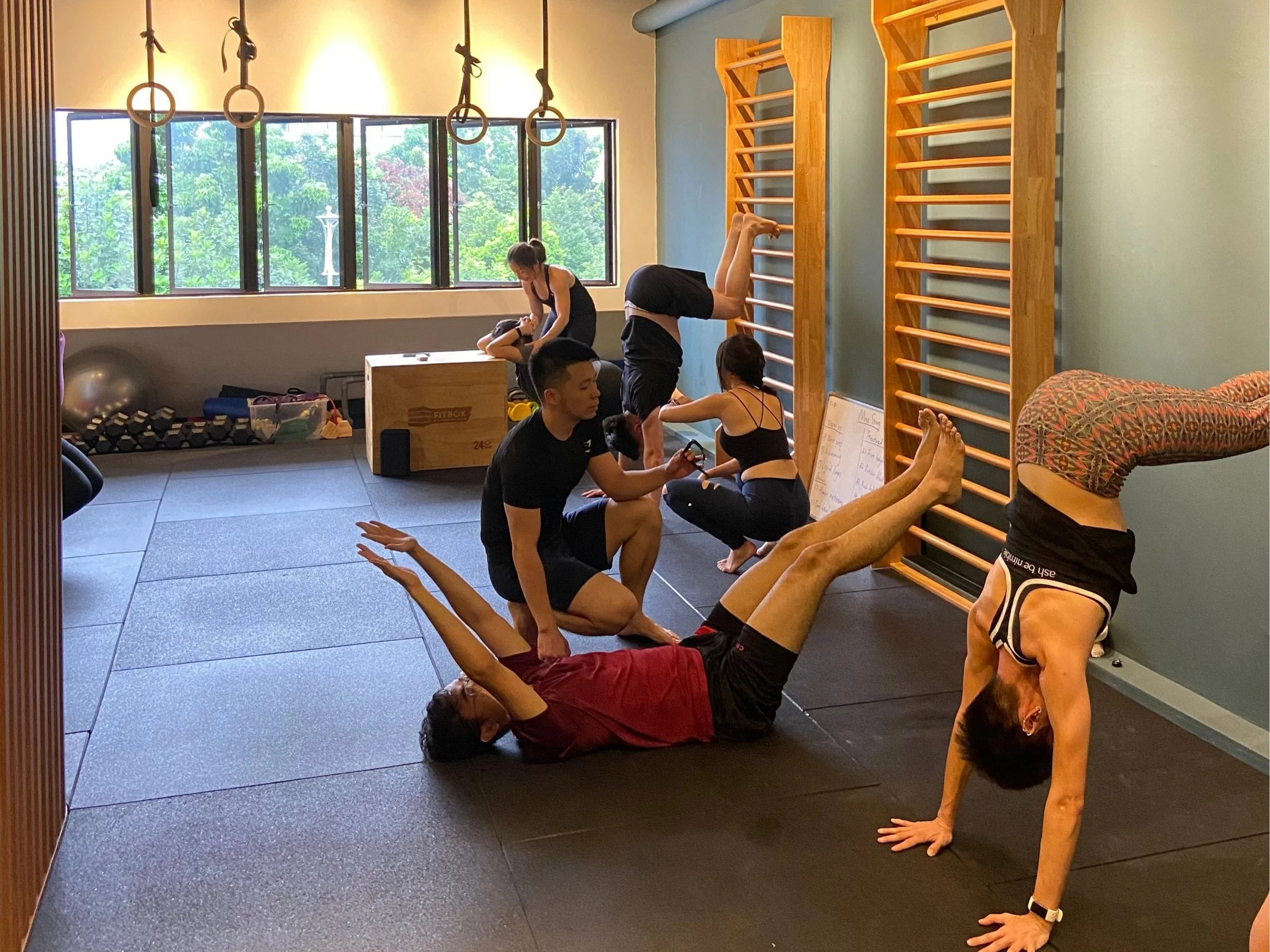 About — OMMOSAPIENS