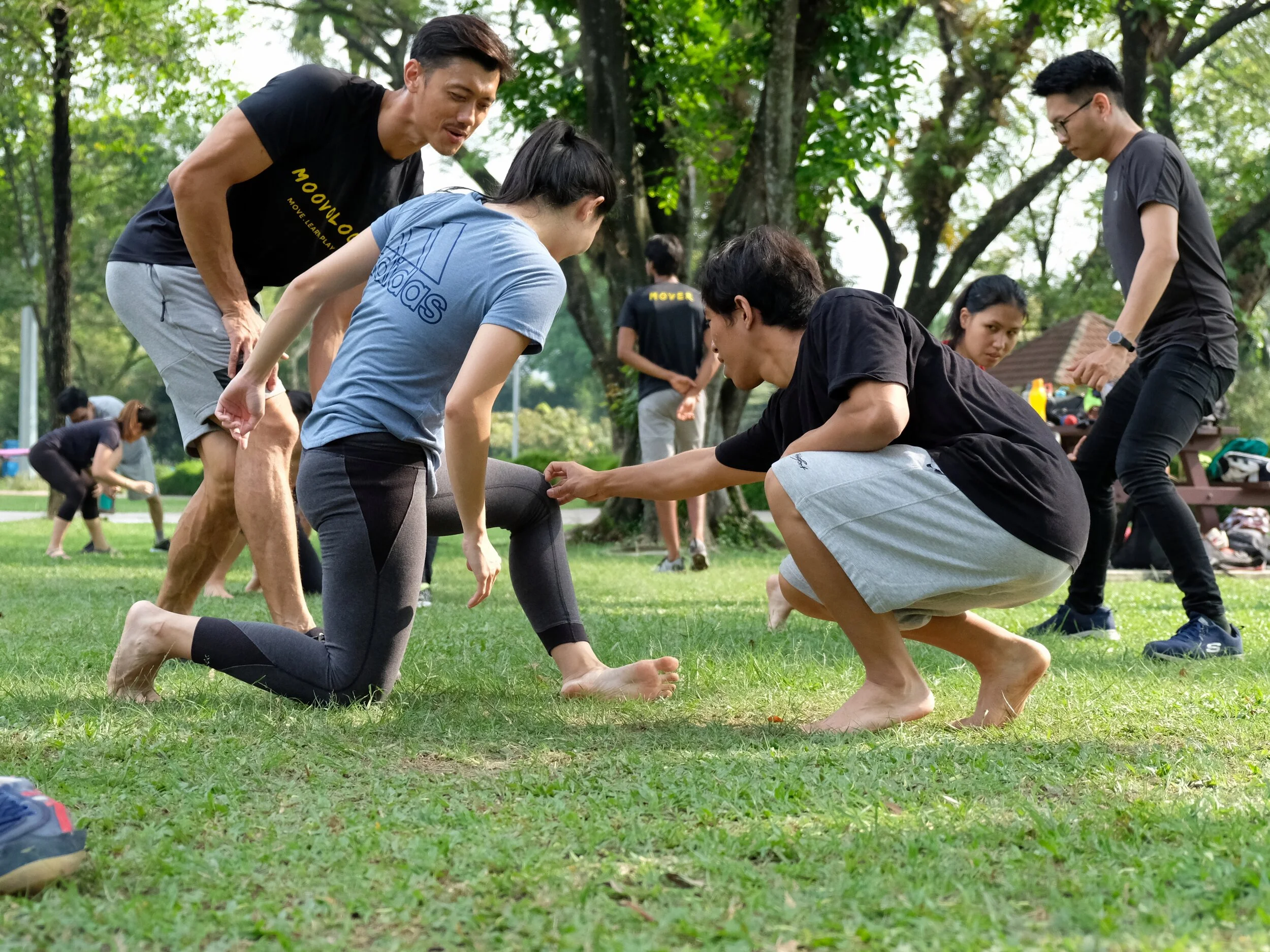 About — OMMOSAPIENS