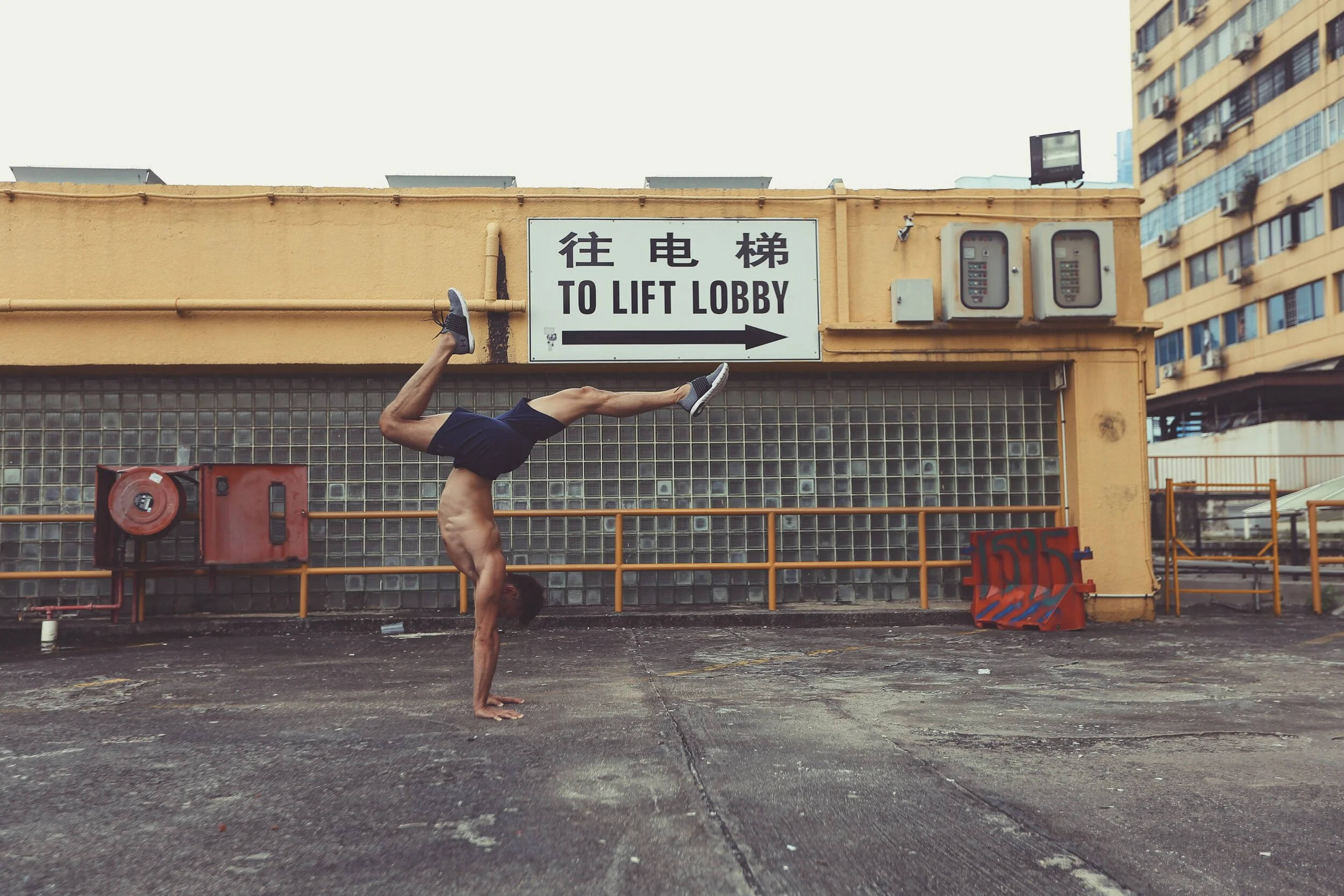 About — OMMOSAPIENS