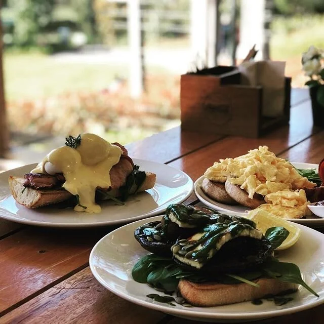 Food Menu — Botanic gardens Cafe