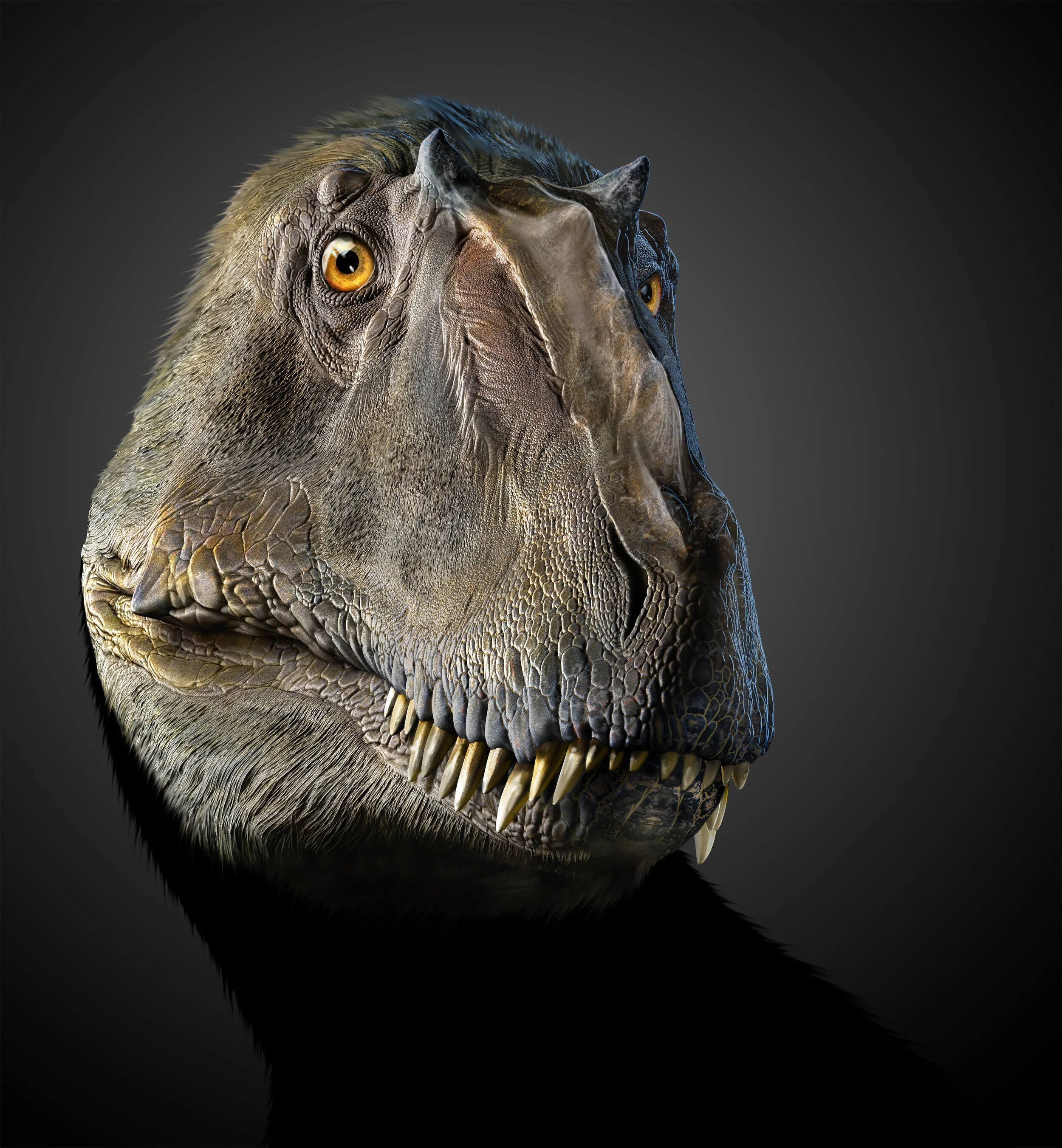 Blog — PNSO Collectible Models