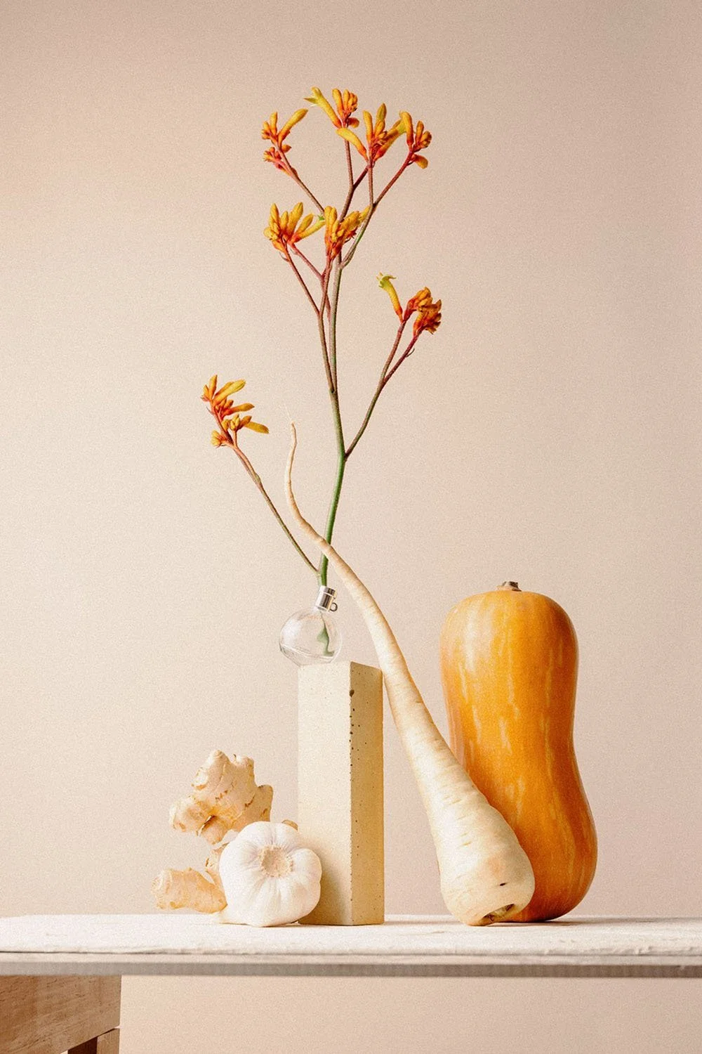 Set Design & Photos Créatives : Rencontre avec Palta Studio - Studio Kahi