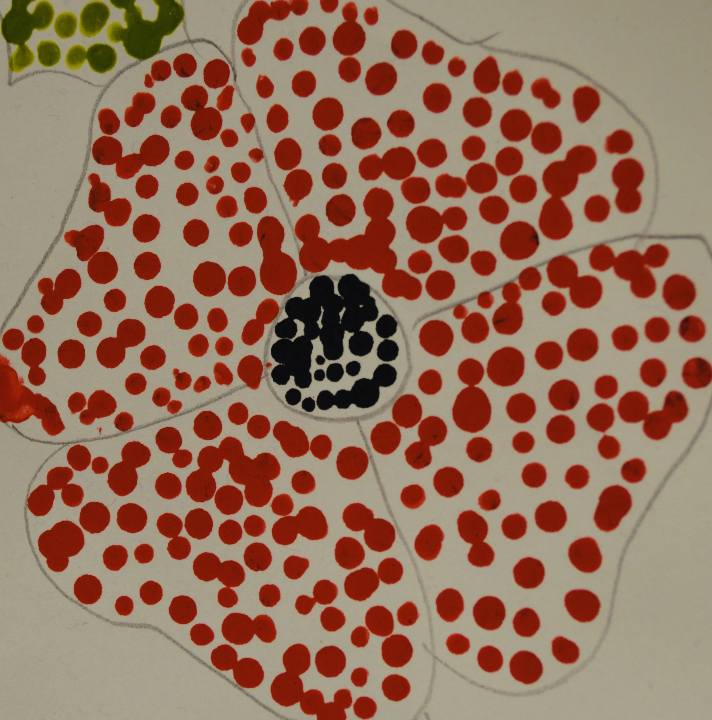 Remembrance Service 2022 — Harnham Junior School