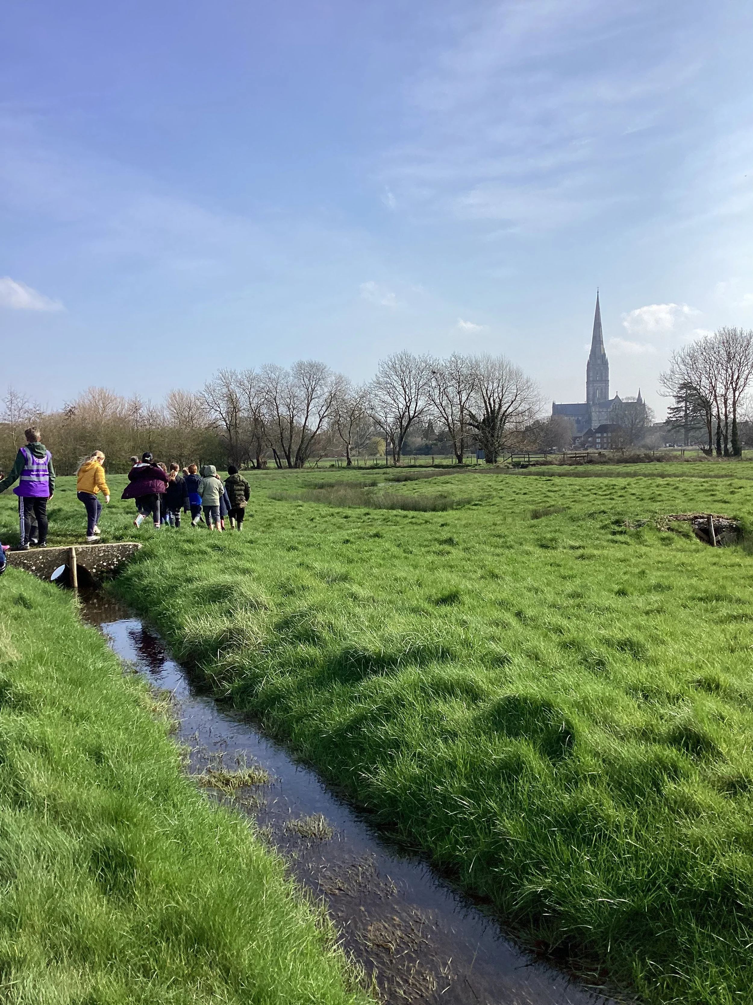 YEAR 4 WATER MEADOWS VISIT — Harnham Junior School