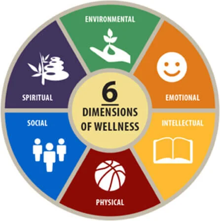 Part 1 Of The 6 Dimensions Of Wellness Emotional Coach Sando Training part-1-of-the-6-dimensions-of-wellness-emotional-coach-sando-training