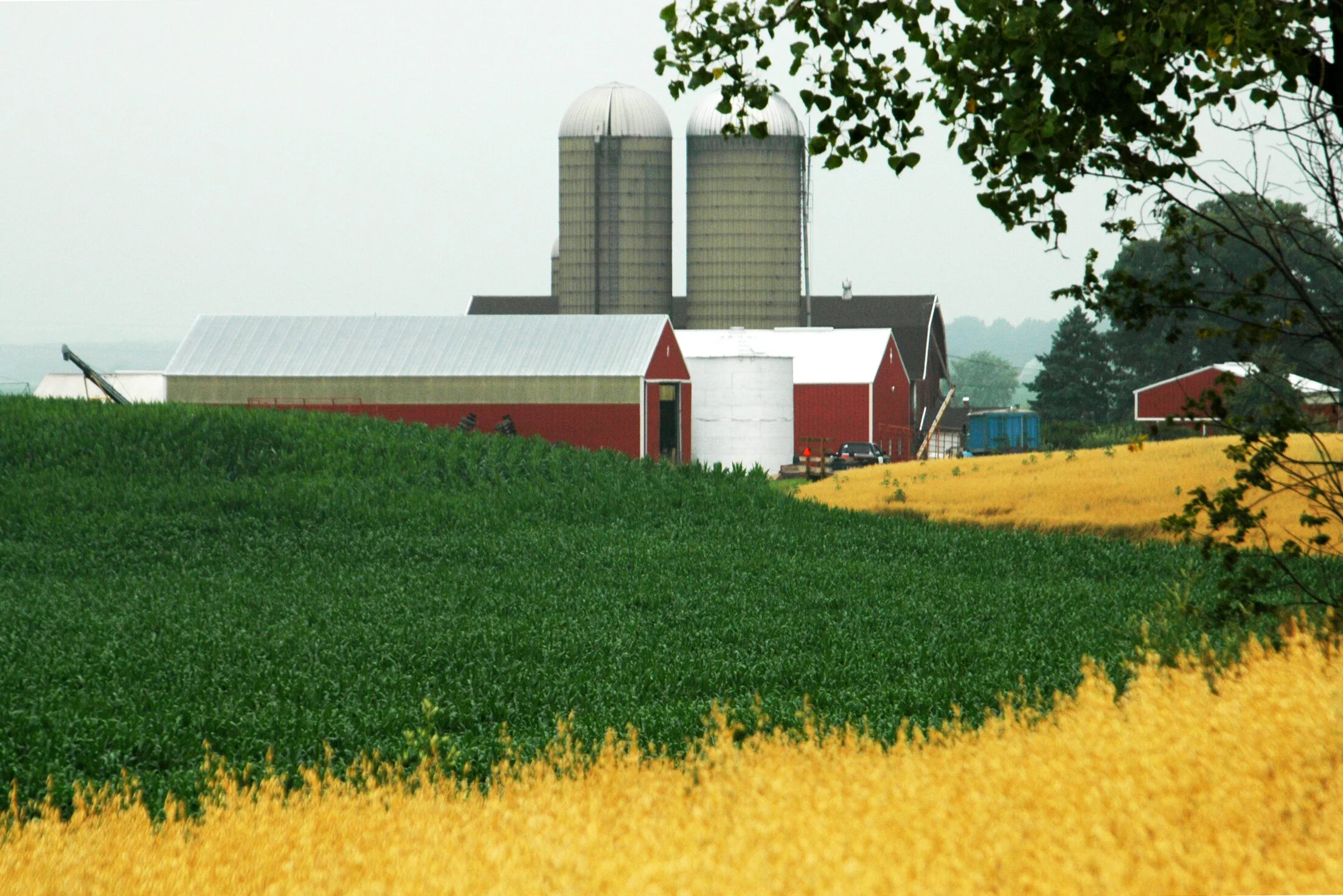 About Kane County — Kane County Farm Bureau