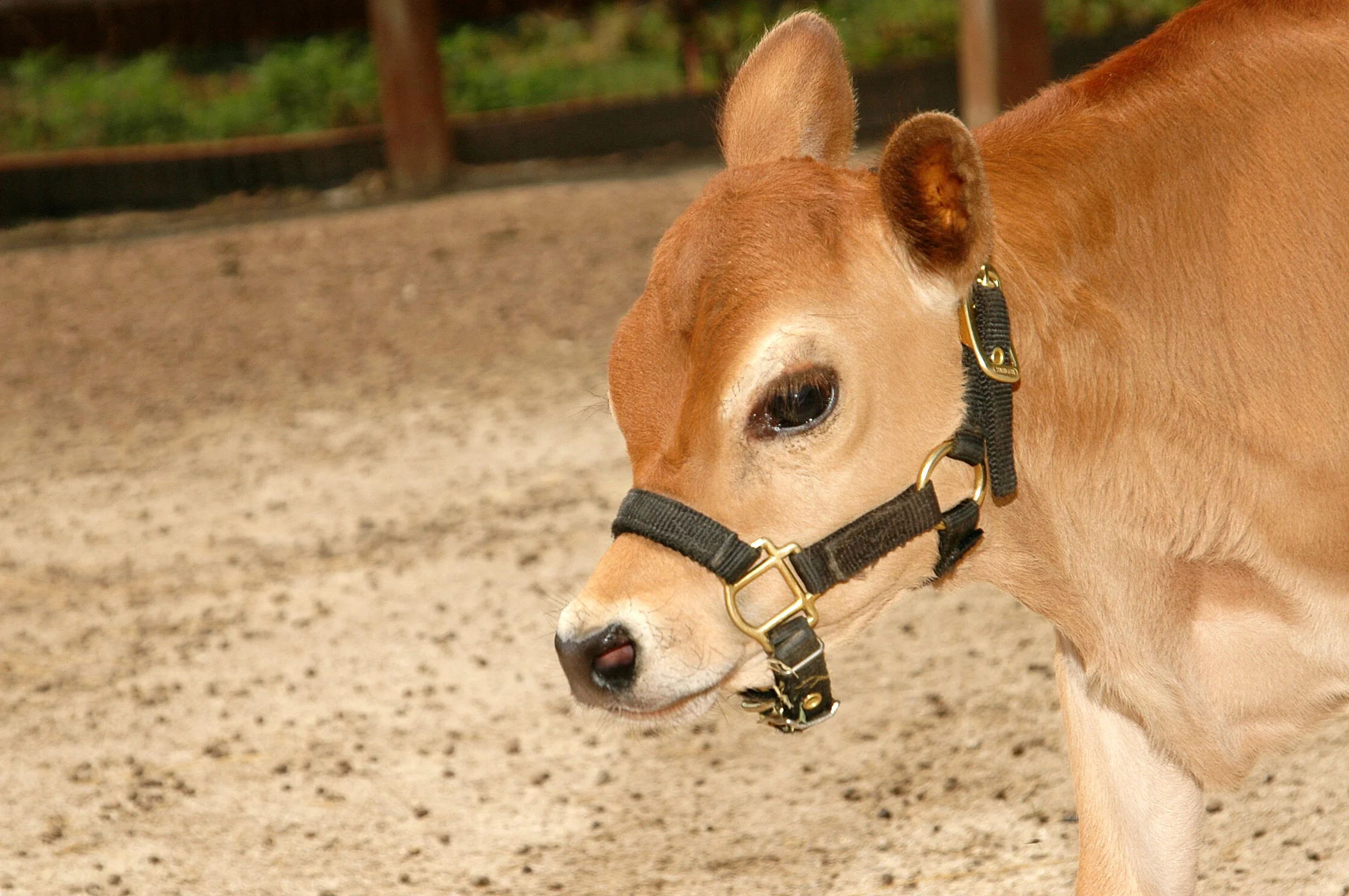 General 2 — Kane County Farm Bureau