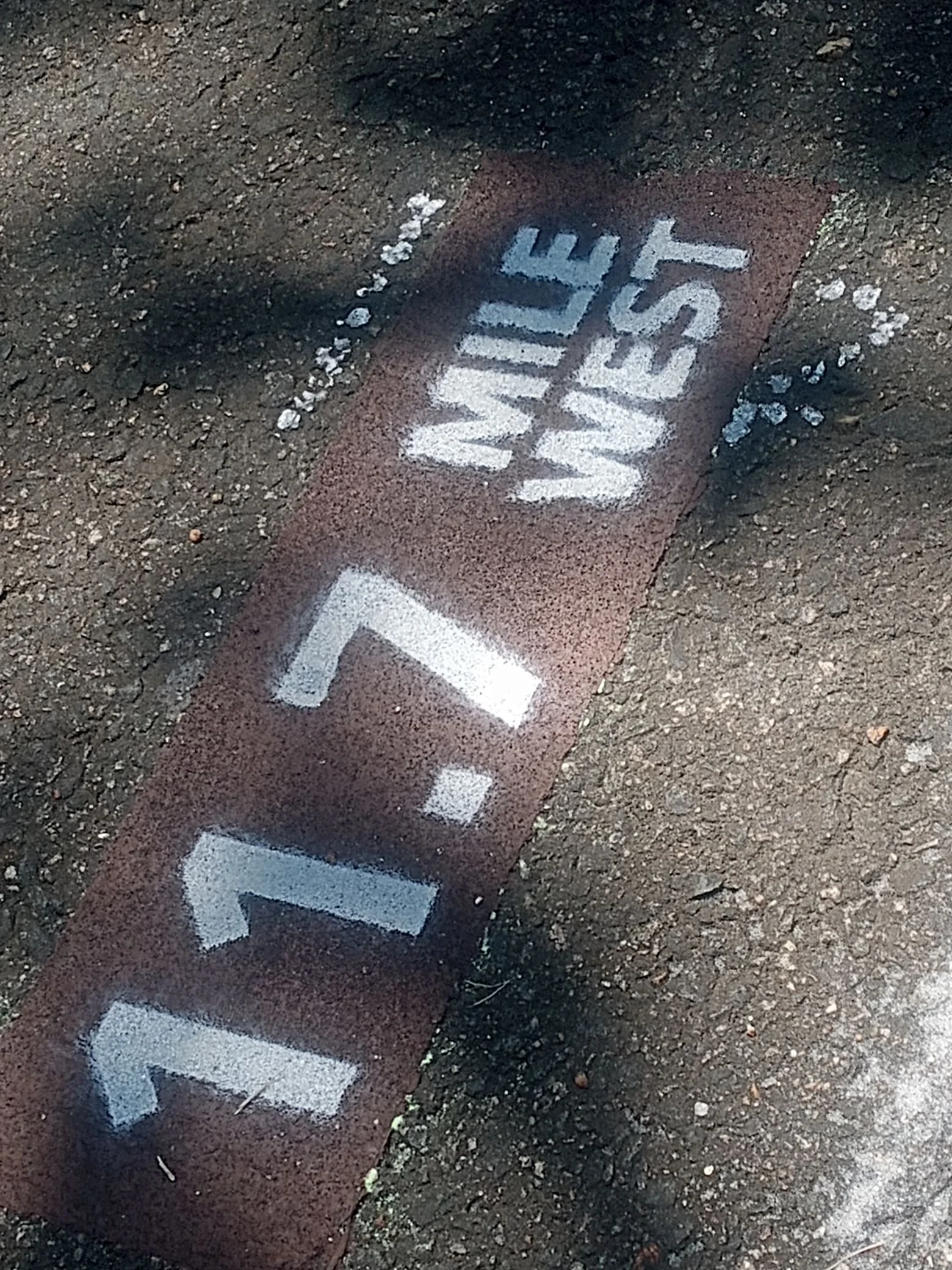 portfolio-UNIQUE-Anacostia River Trail — Equus Striping - Pavement ...