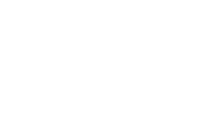 Expert Insurance Services