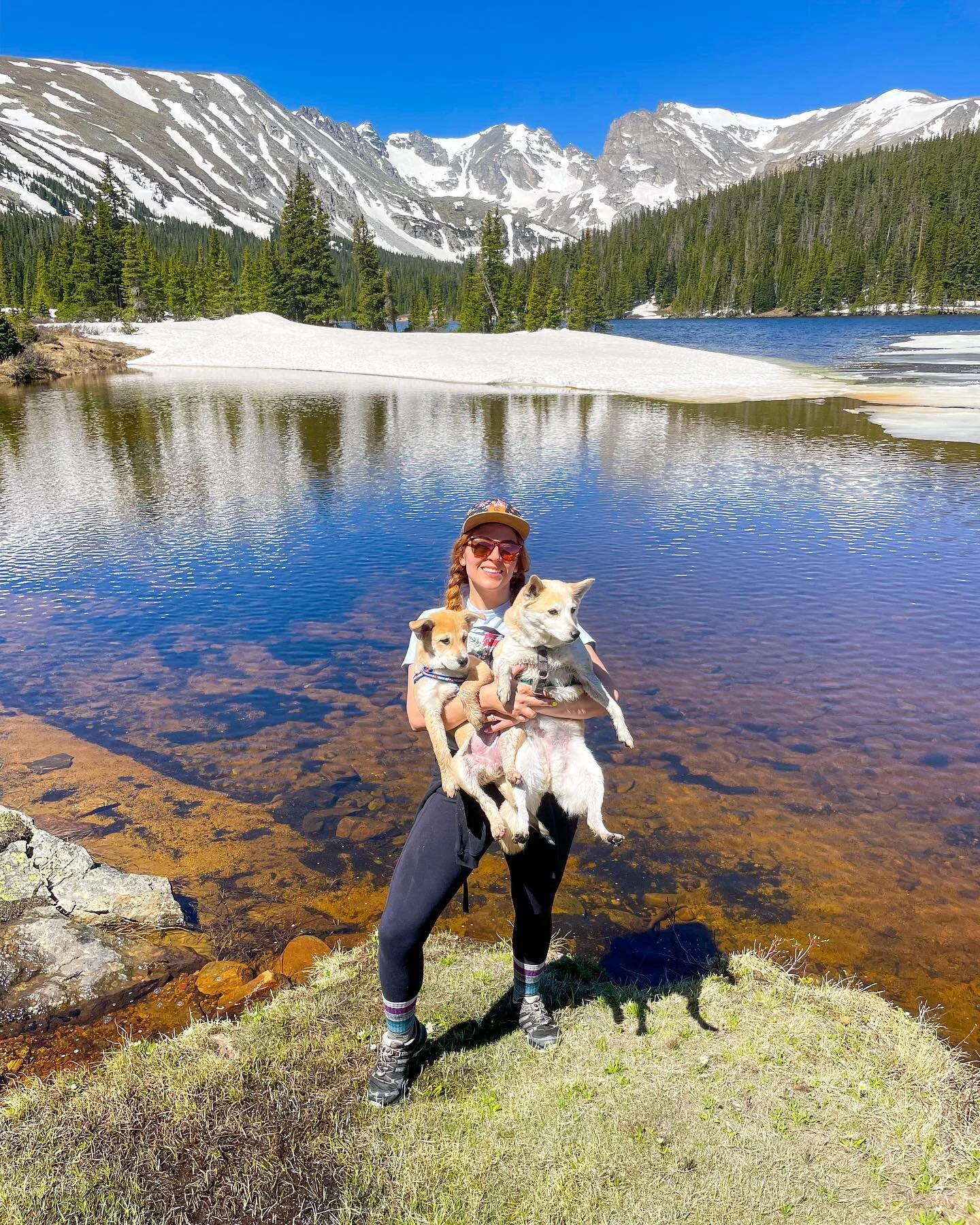 Annie Petsche // Career & Fulfillment Coach