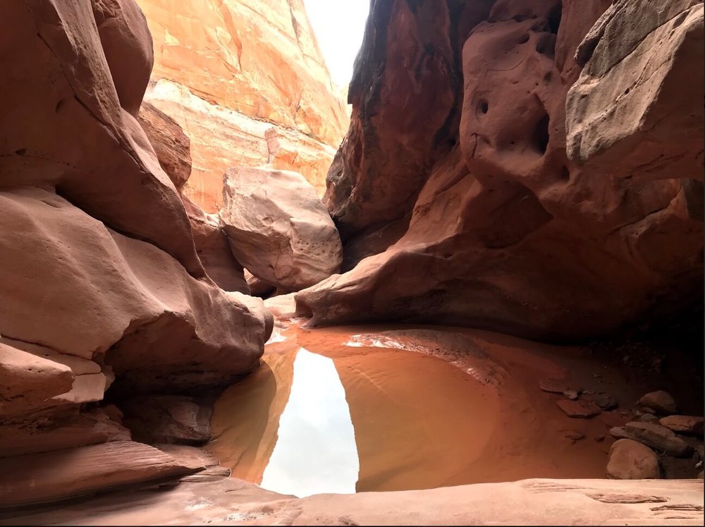 Contact | Cassidy Randall — Cassidy Randall