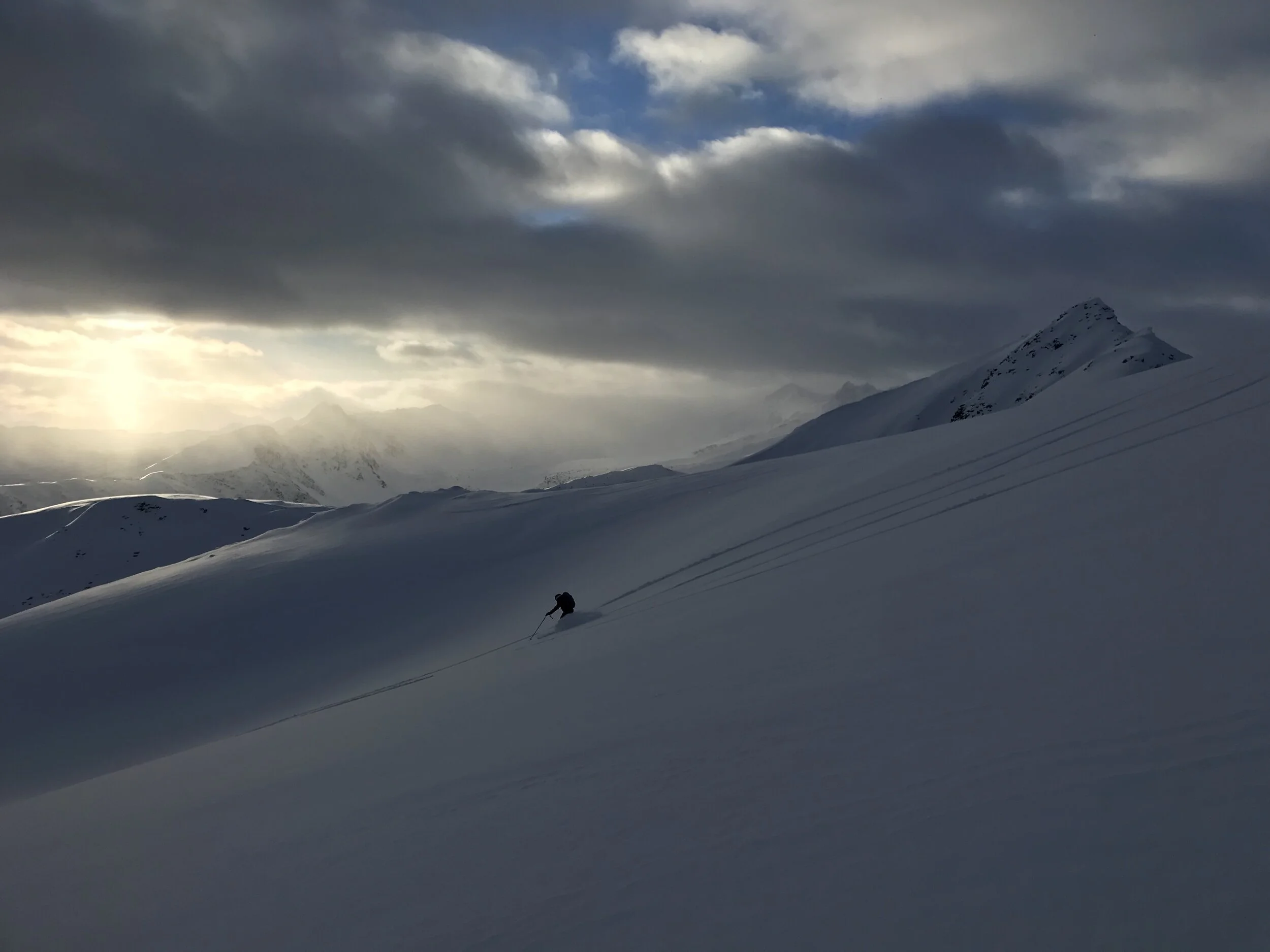 Cassidy Randall | Freelance Writing