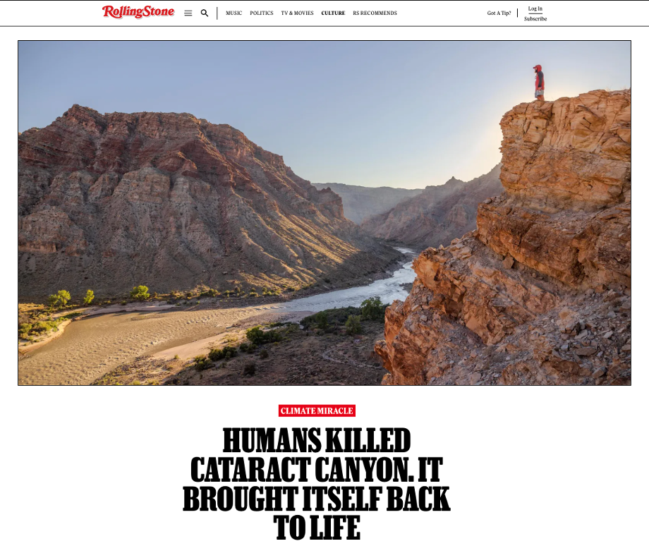 Cassidy Randall | Author & Freelance Writer