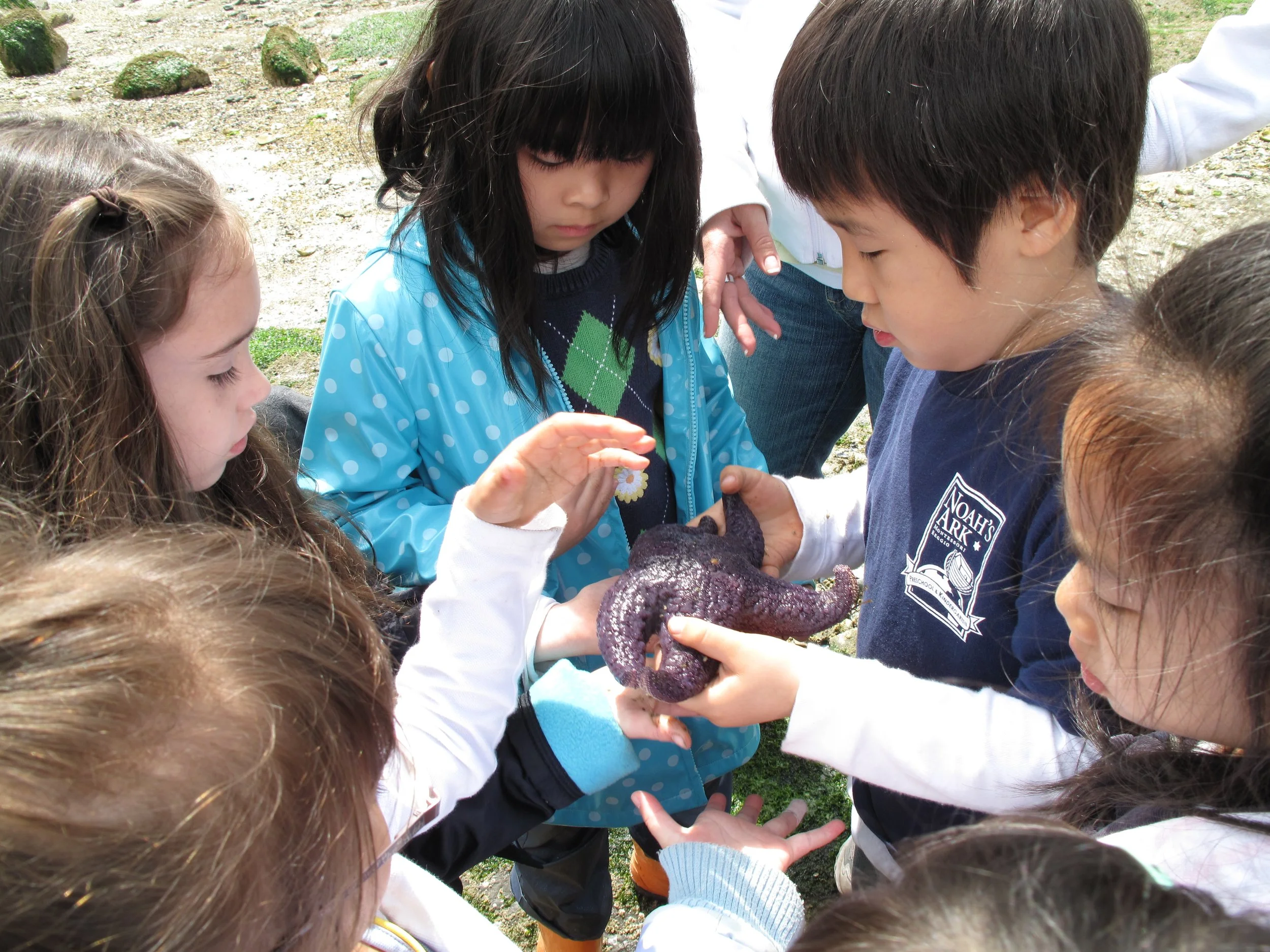 Ark Elementary School & Noah's Ark Preschool