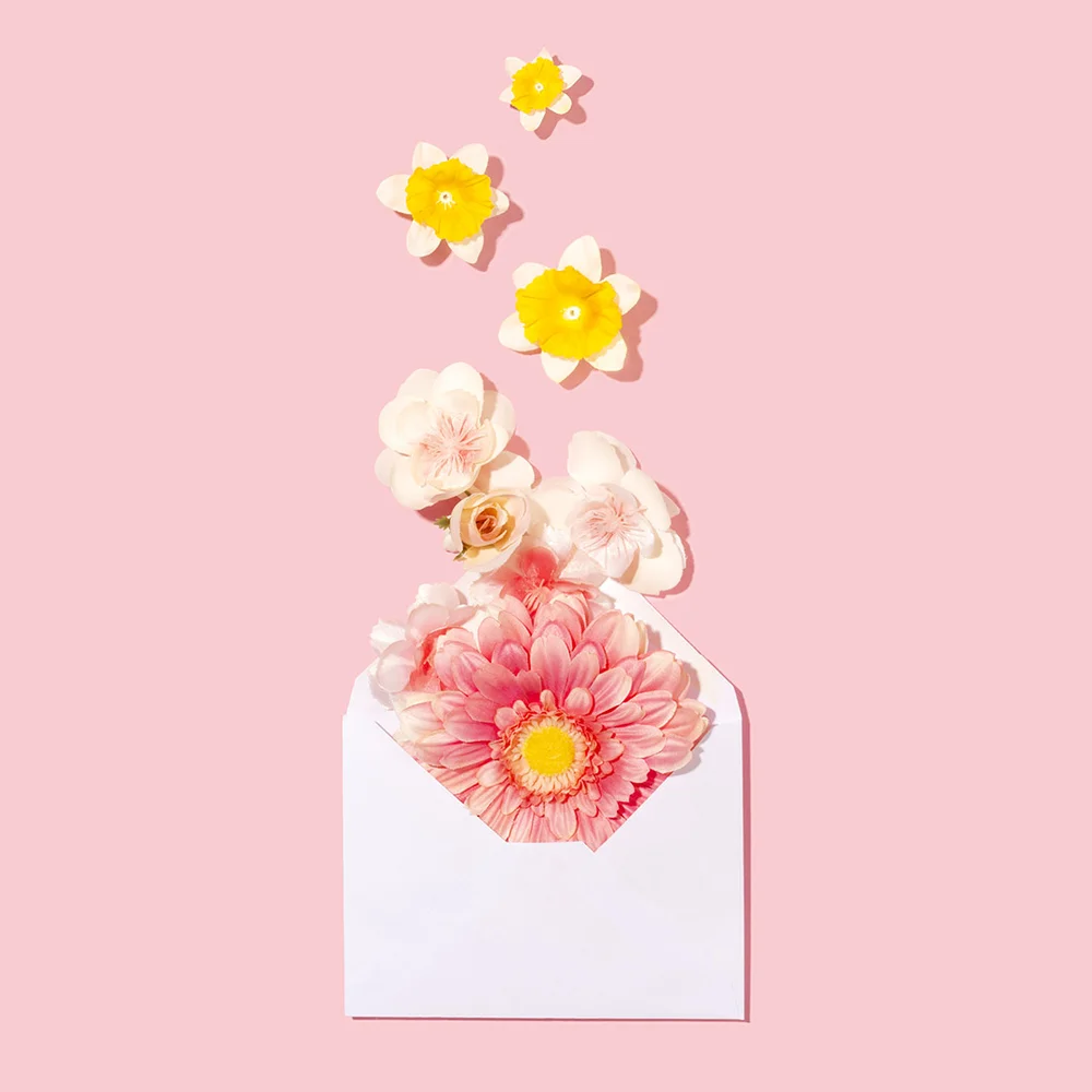 How to Create Gorgeous Email Campaigns with MailChimp — Amy Shamblen ...