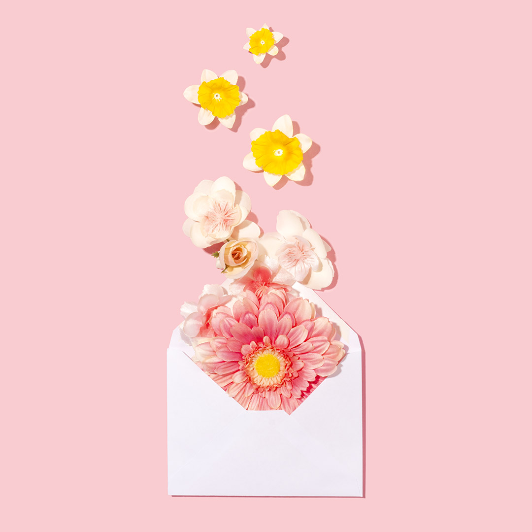 How to Create Gorgeous Email Campaigns with MailChimp — Amy Shamblen ...