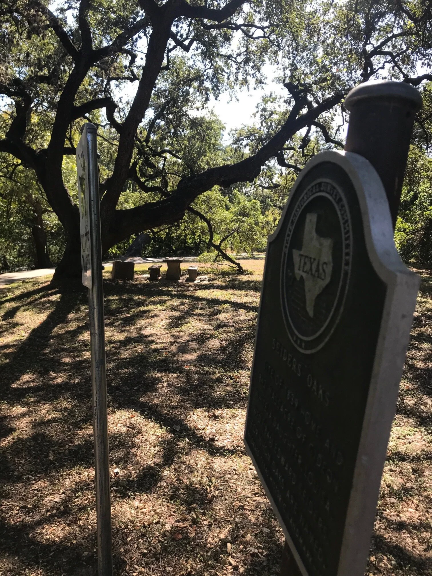 Seiders Oaks — Carolyn Hestand Kennedy