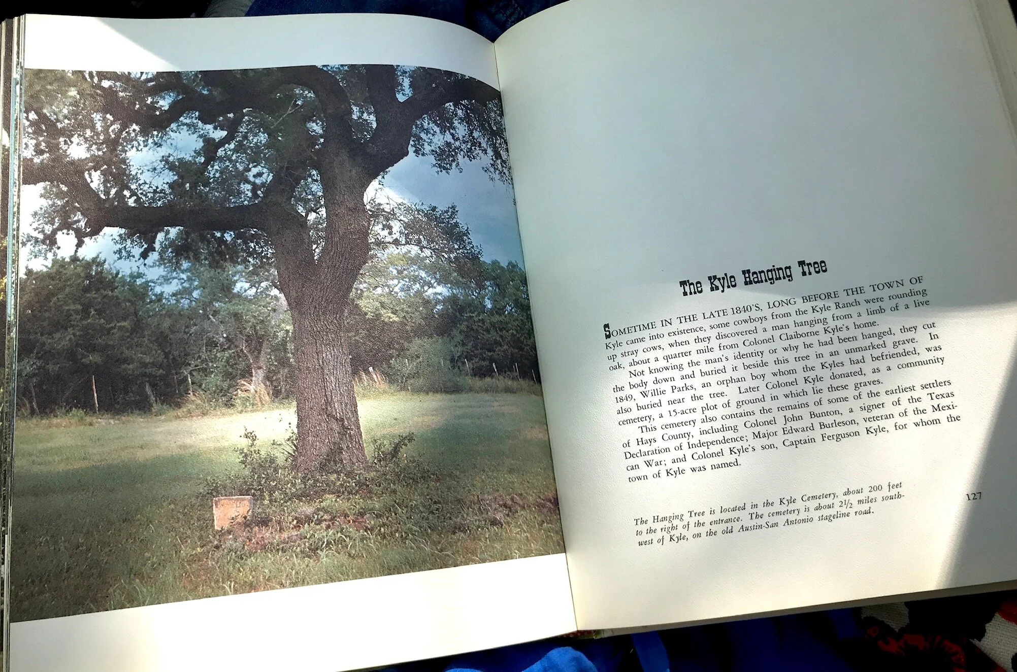 Kyle Hanging Tree — Carolyn Hestand Kennedy