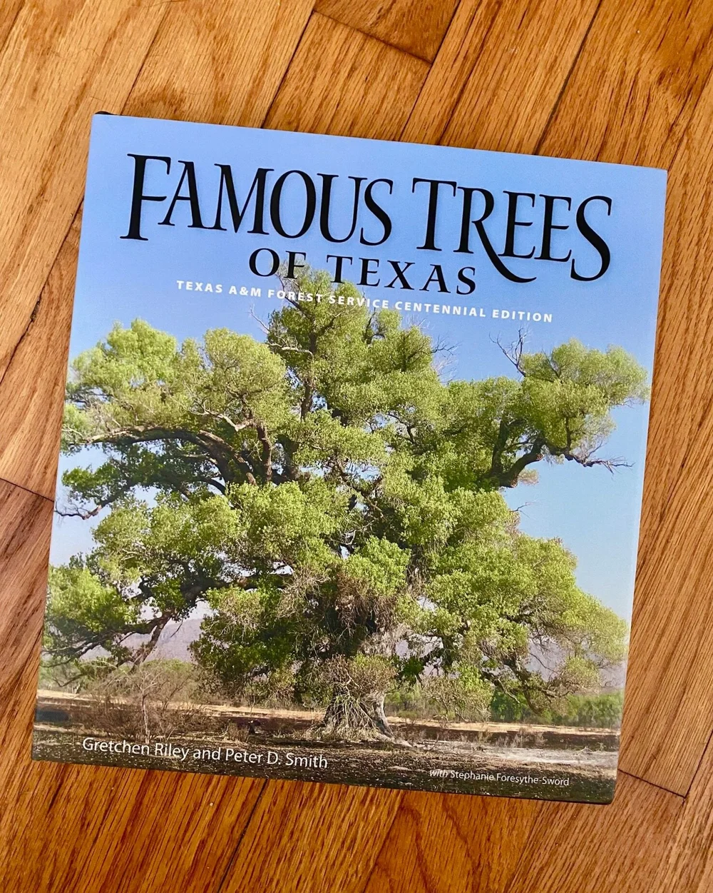 Famous Trees of Texas — Carolyn Hestand Kennedy
