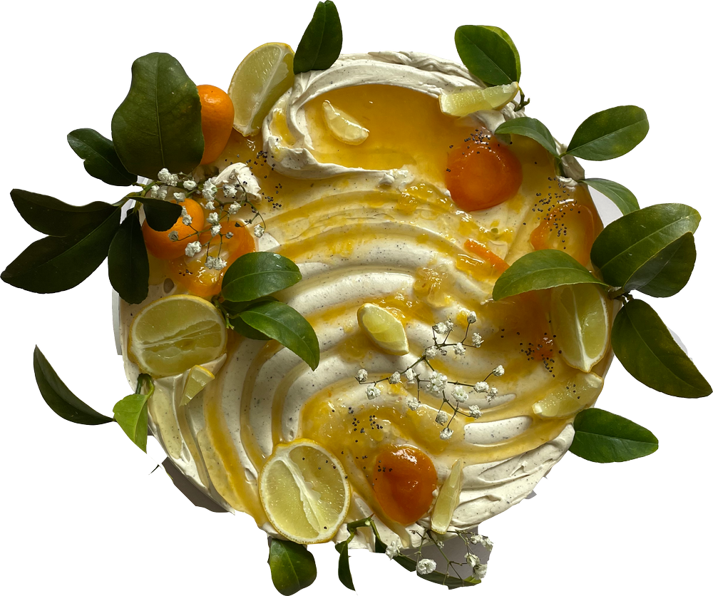 CAKE PICNIC — elisasunga