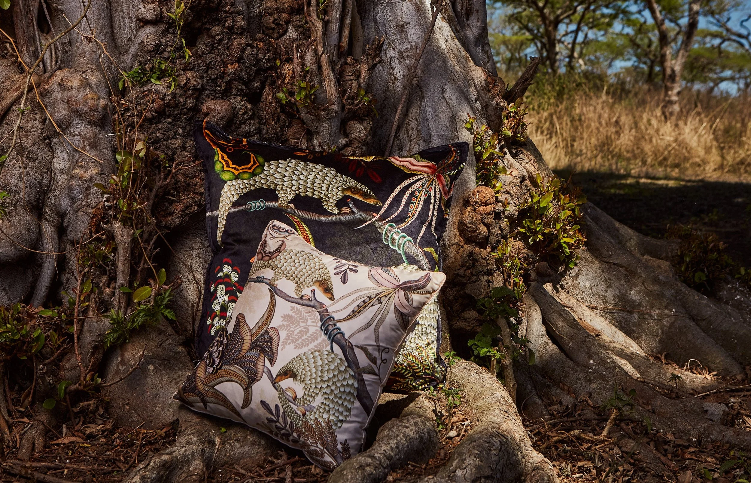 Ardmore Design and Ceramics | Ardmore Homeware Design | L’Afrika