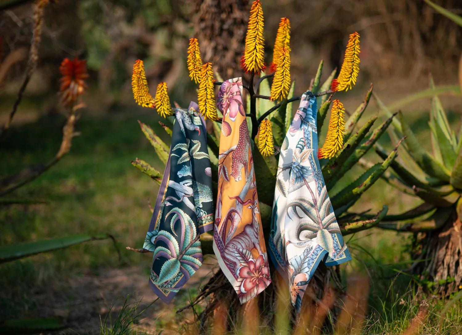Ardmore Design and Ceramics | Ardmore Homeware Design | L’Afrika