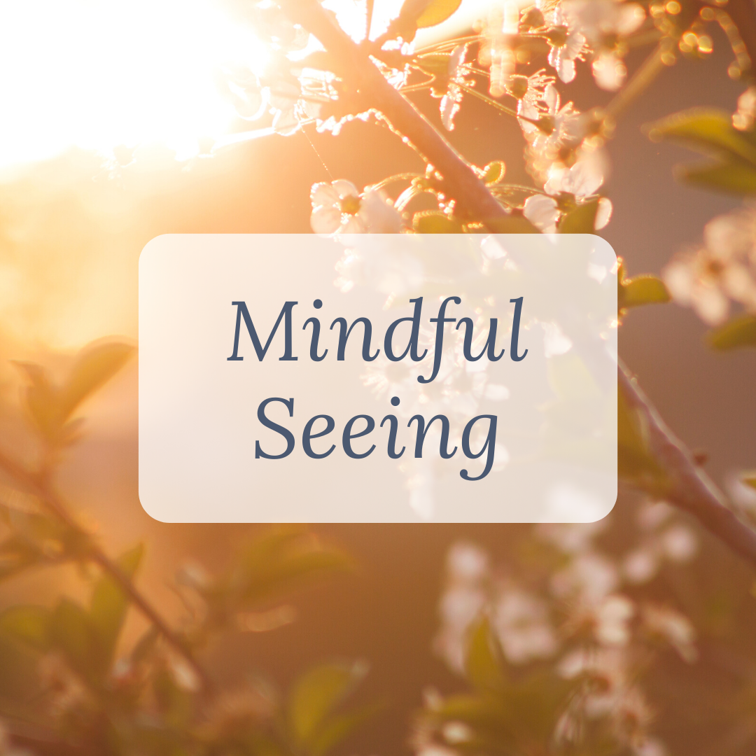Easy Mindfulness Exercises You Can Do Anywhere | Meredith Van Ness