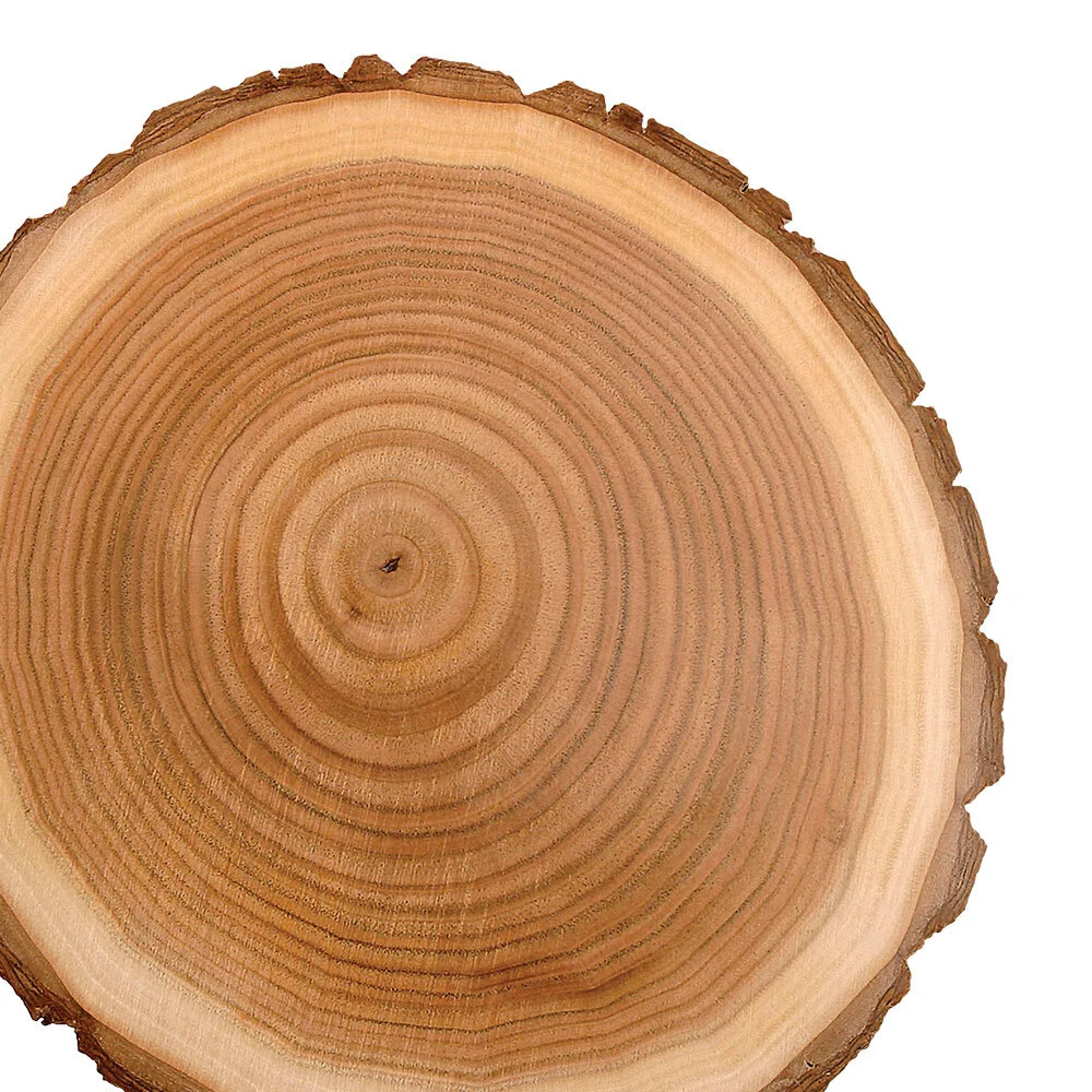 Product - AM Treatment — A radical new way to moisturize | Ao Skincare