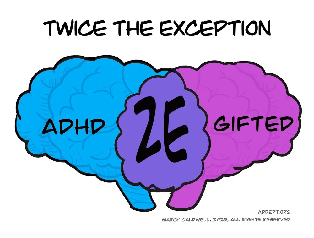 Twice Exceptional Adults with ADHD — ADDept
