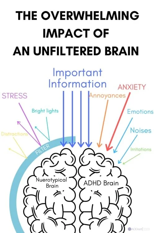 Understanding Hypersensitivity And The ADHD Brain ADDept