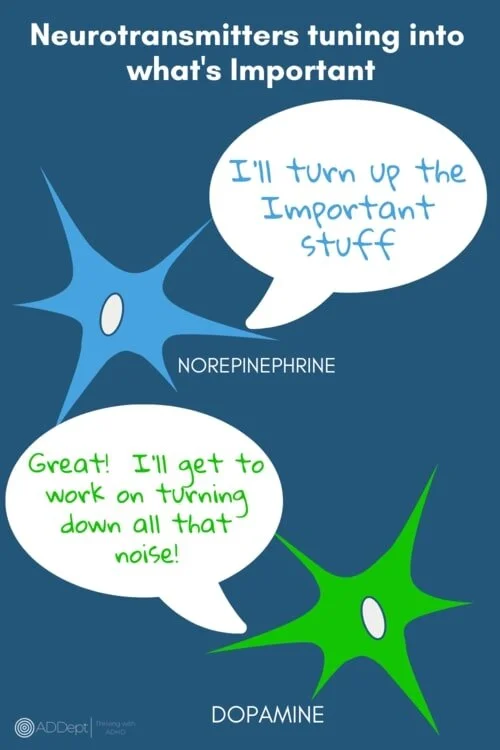 12 Ways Exercise will Boost your ADHD Brain — ADDept