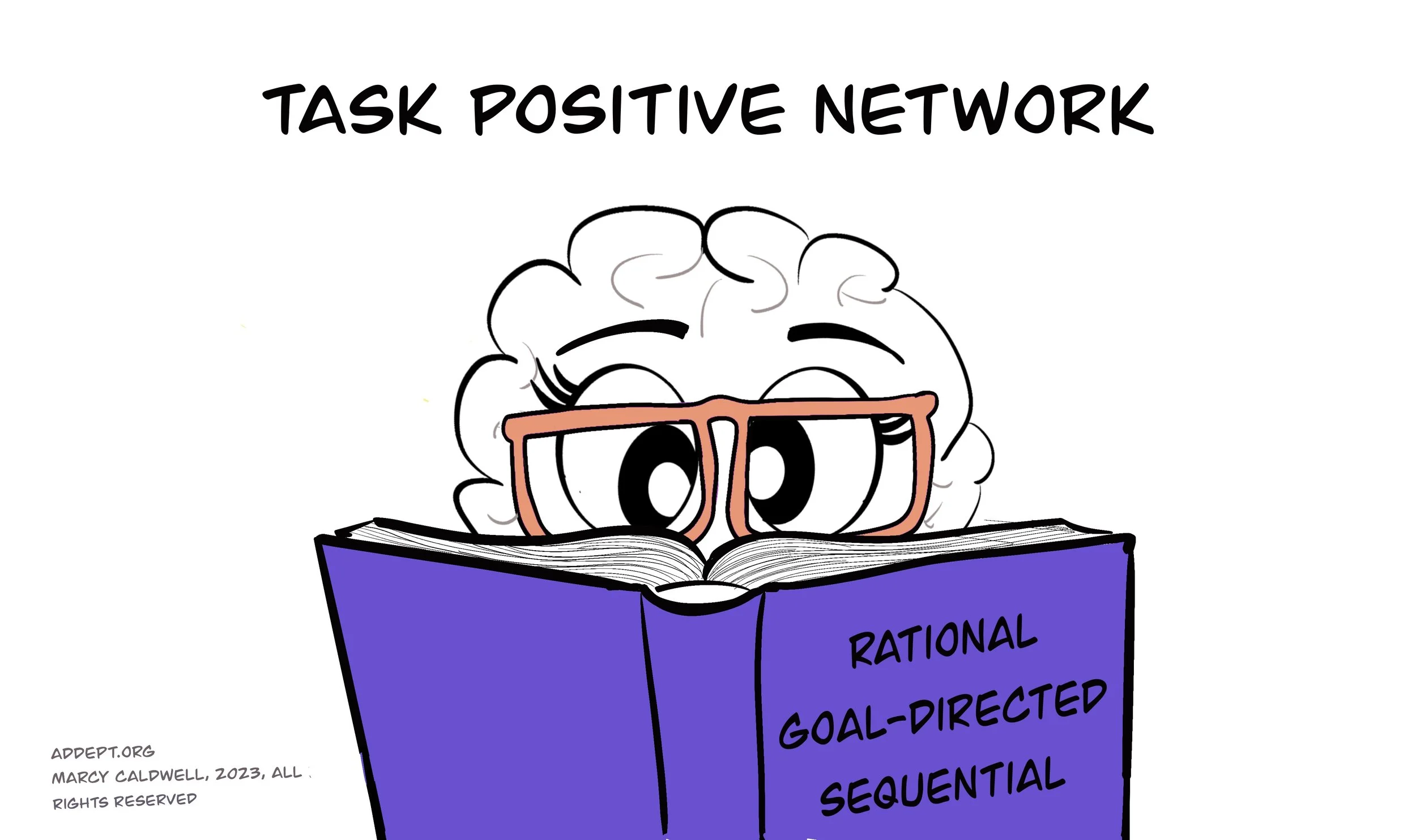 Default Mode Network: ADHD Brain Recess — ADDept