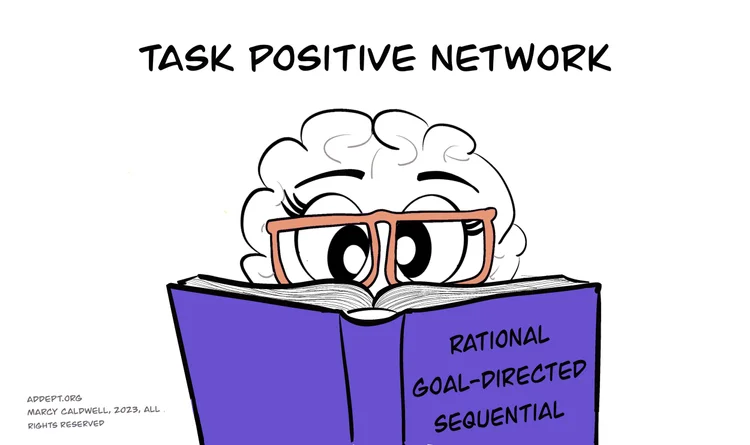 Default Mode Network: ADHD Brain Recess — ADDept