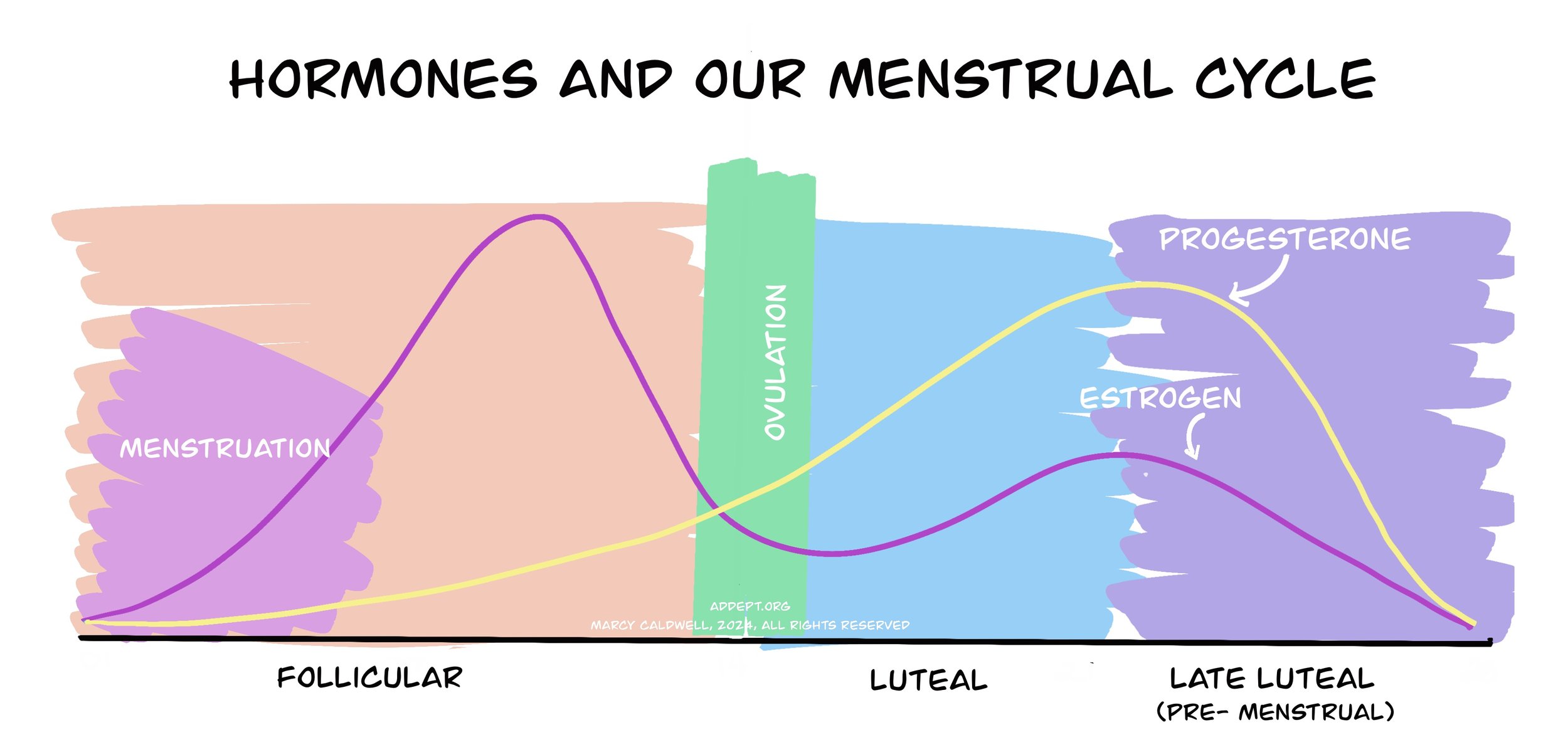 ADHD And Your Period: What You Need To Know — ADDept