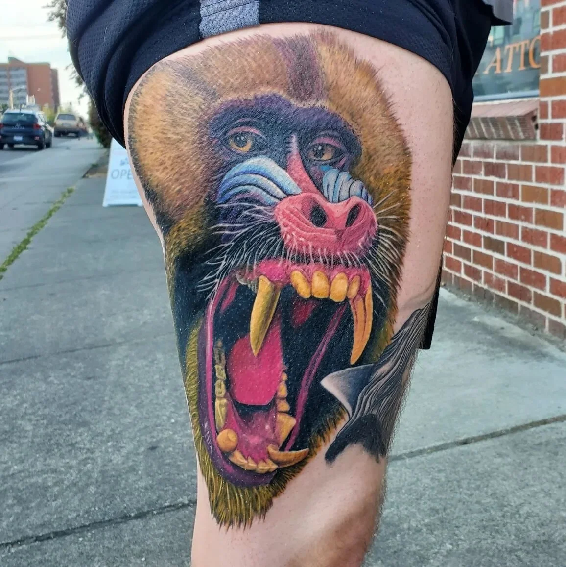 Baboon Face Tattoo