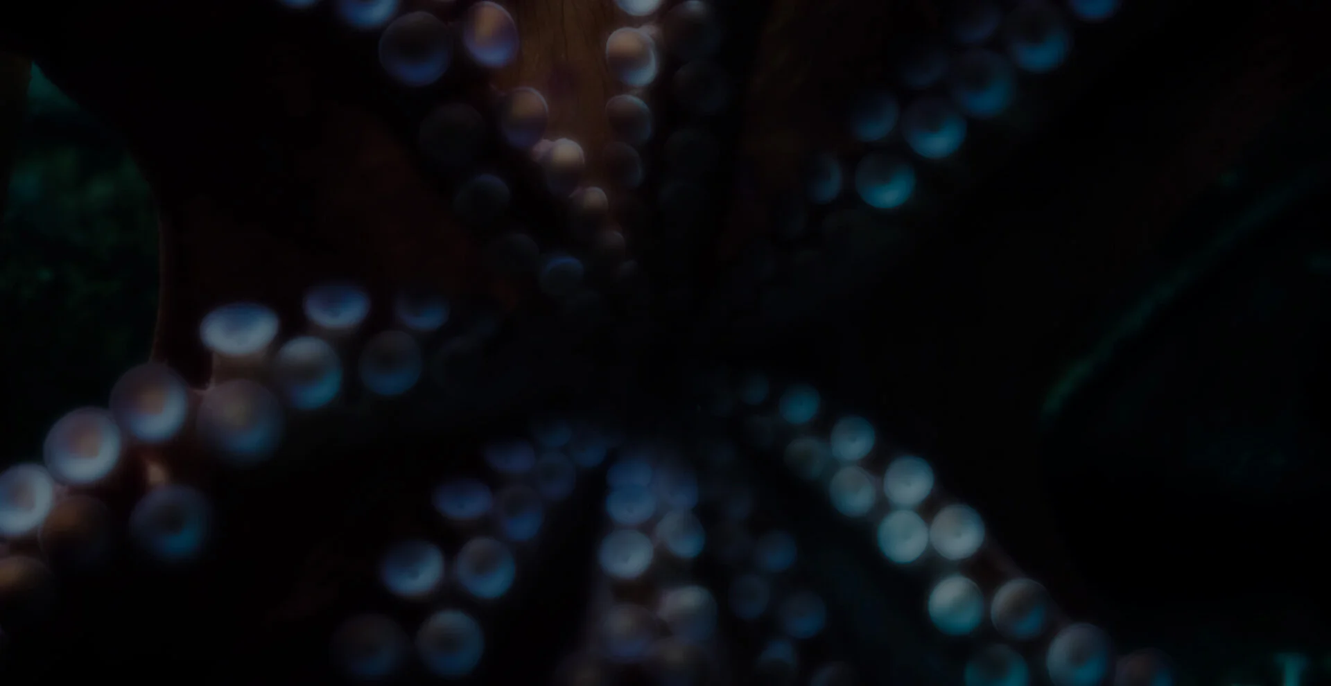 Scio Asset Management