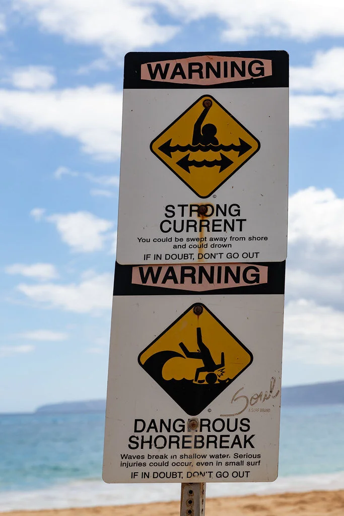 Waves: Crash or Rise | Scio Asset Management